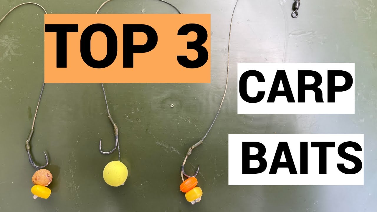 Carp Fishing With My TOP 3 Carp Baits (HOT BITE!) - YouTube
