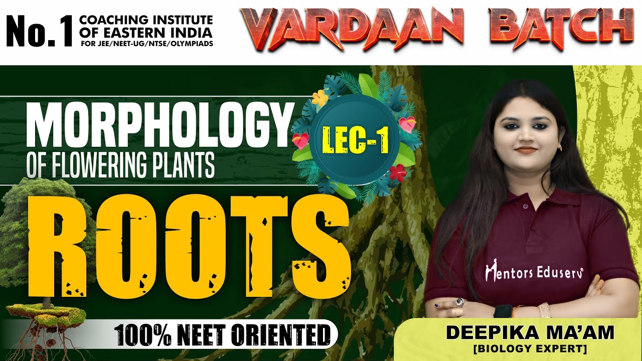 MORPHOLOGY OF FLOWERING PLANTS LEC.1 | ROOTS | NEET BIOLOGY | NEET 2024 ...