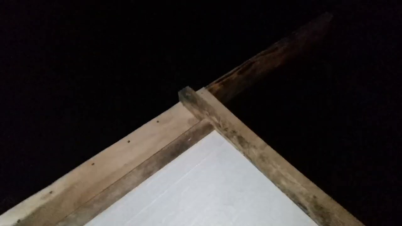 41 aprende cómo construir tu casa paso a paso. Techo casi completo - YouTube