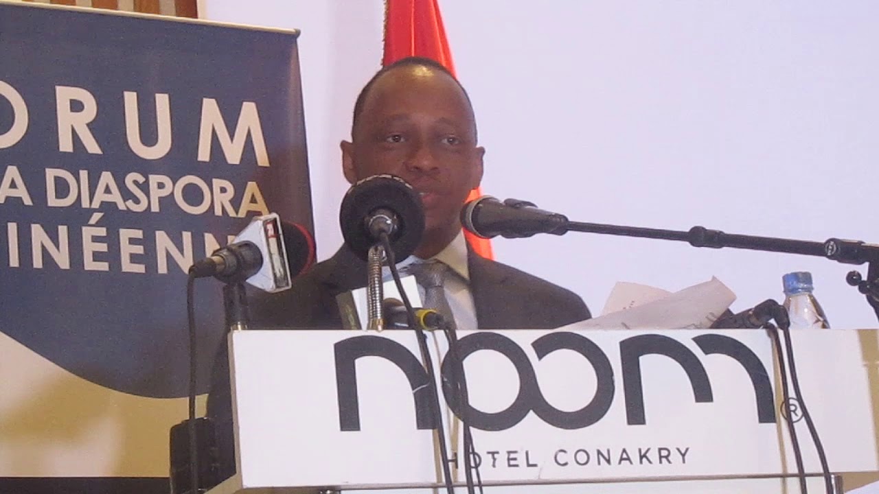 Forum de la diaspora guinéenne : le discours du Premier ministre Mamady ...