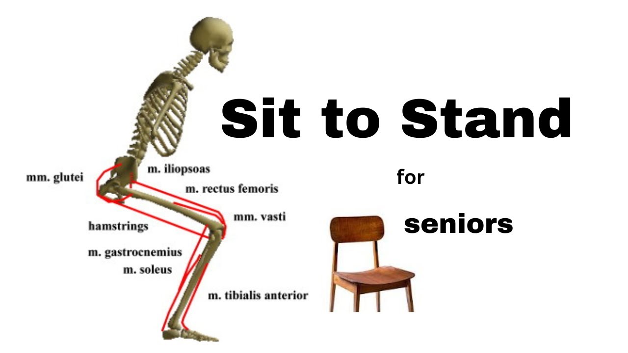 Sit to Stand Exercise for Seniors - YouTube