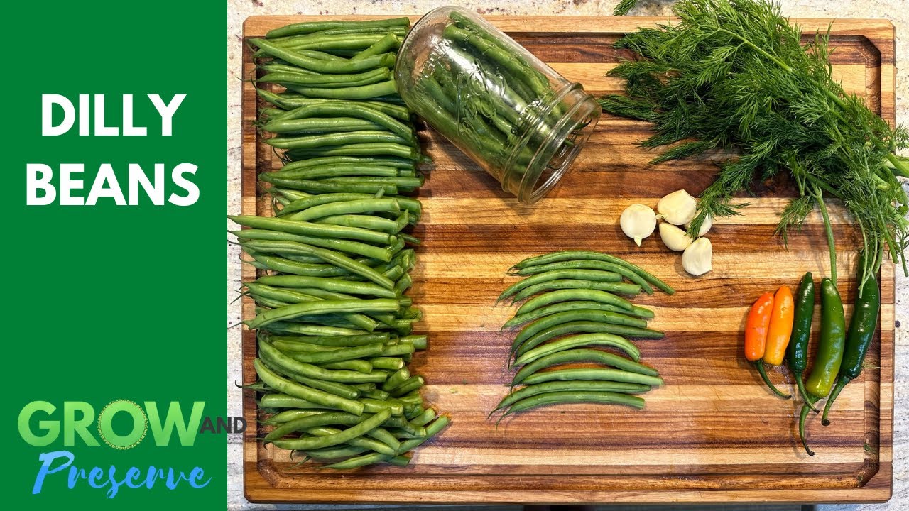 Dilly Beans || The Recipe I Loved as a Child - YouTube