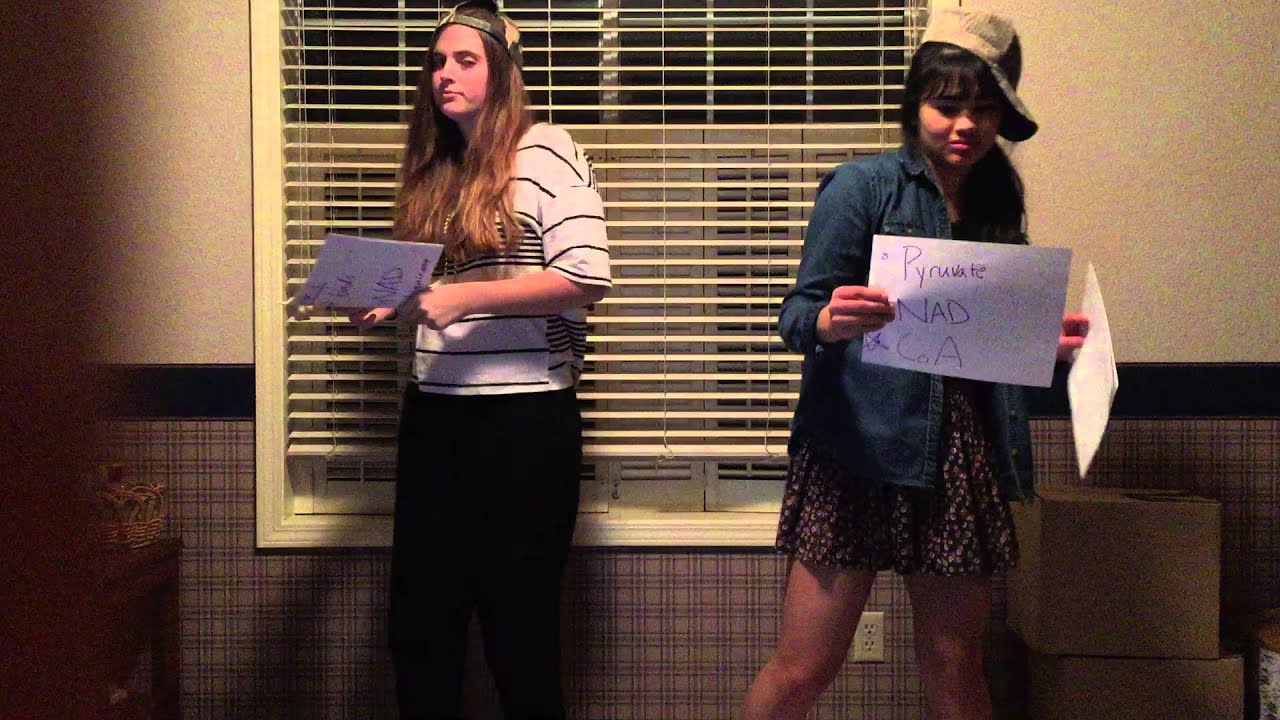 Cellular Respiration Rap (IB Bio) - YouTube
