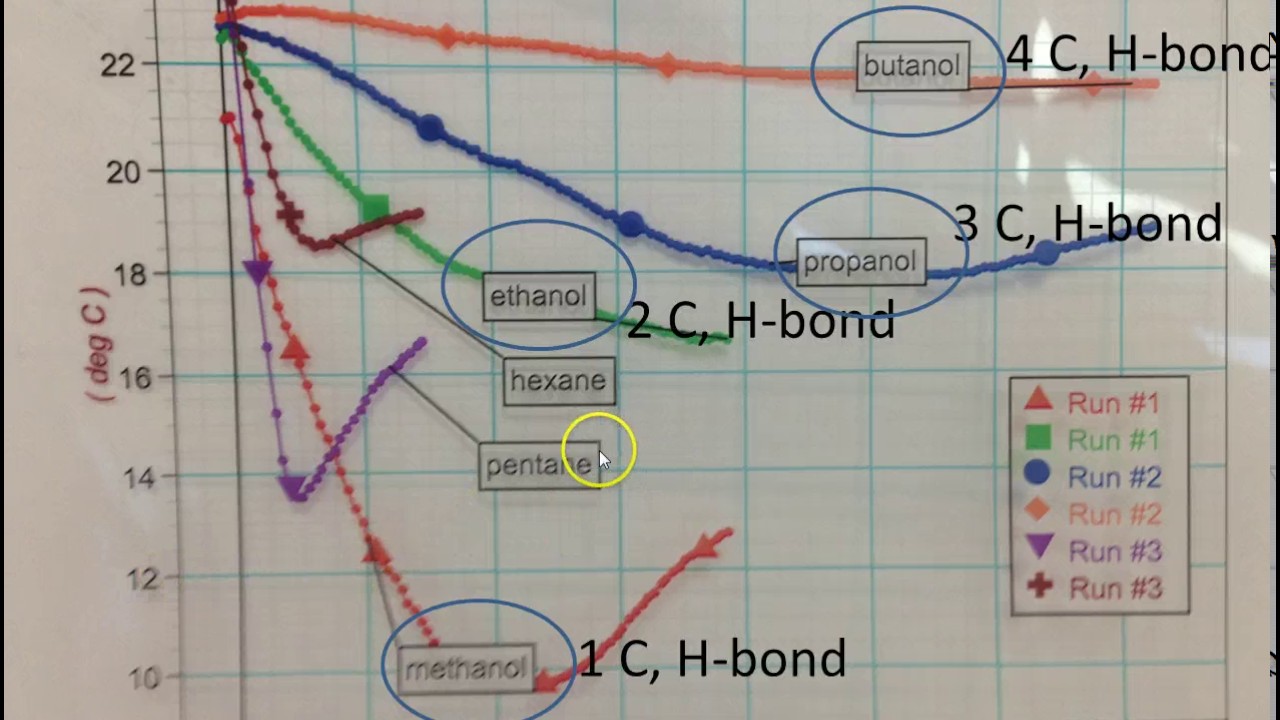 #31 IMF Lab Results - YouTube
