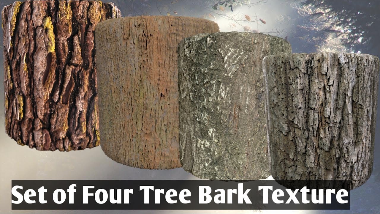 Tree Bark 4K Seamless Texture Download | Set of Four High-Quality PBR ...