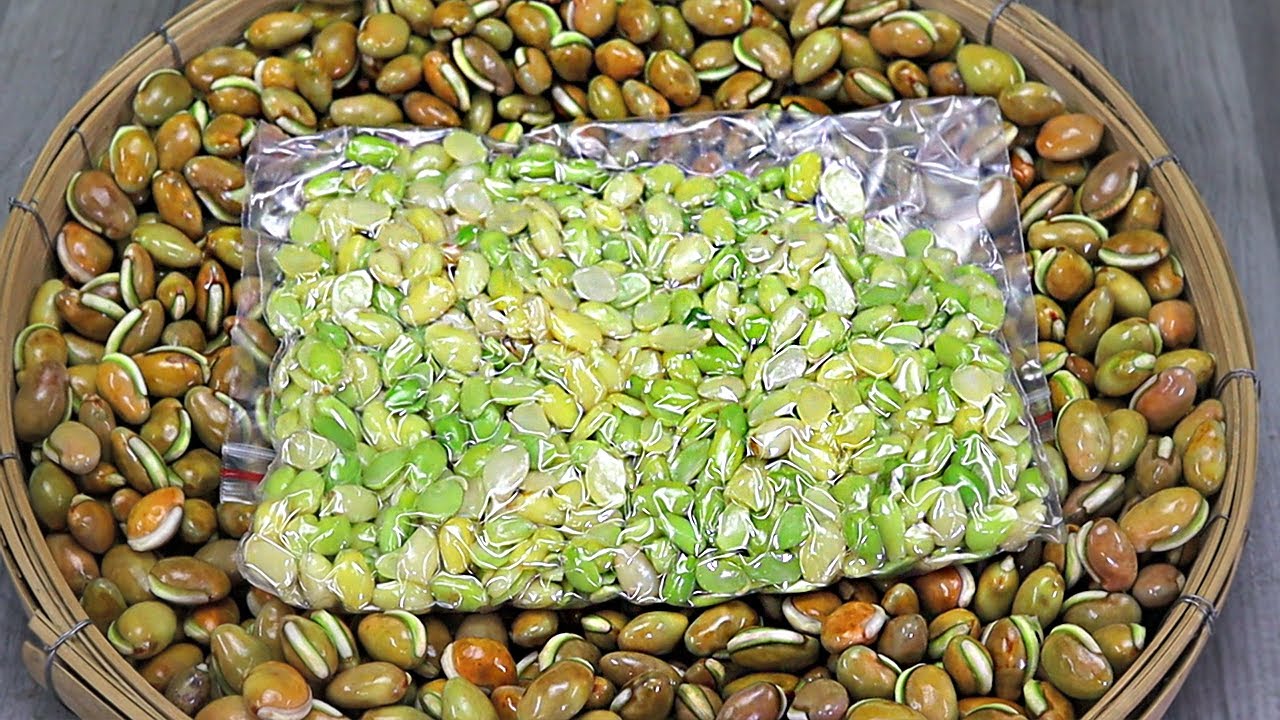 Simer Bichi | খুবই সহজে সারা বছরের জন্য শিমের বিচি সংরক্ষনের পদ্ধতি ...