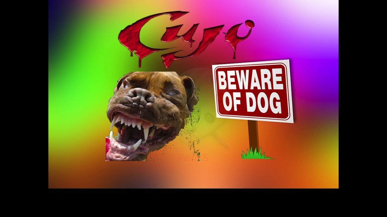 CUJO Attack - YouTube