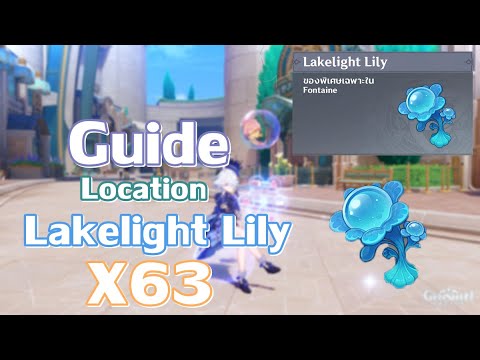 Guide Location " Lakelight Lily " X63 │Genshin Impact - YouTube