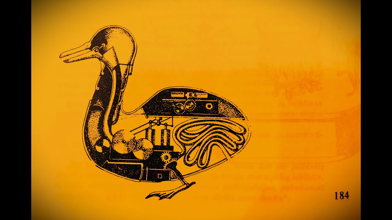 Not A Duck Tv (Not A Duckt A) - Summertime cover - YouTube