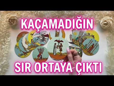 Aranızdaki Bağın Sırrı Ortaya Çıkarıyor! Kaçamadığın O Kişi 🐬 Tarot Açılımı 🐬