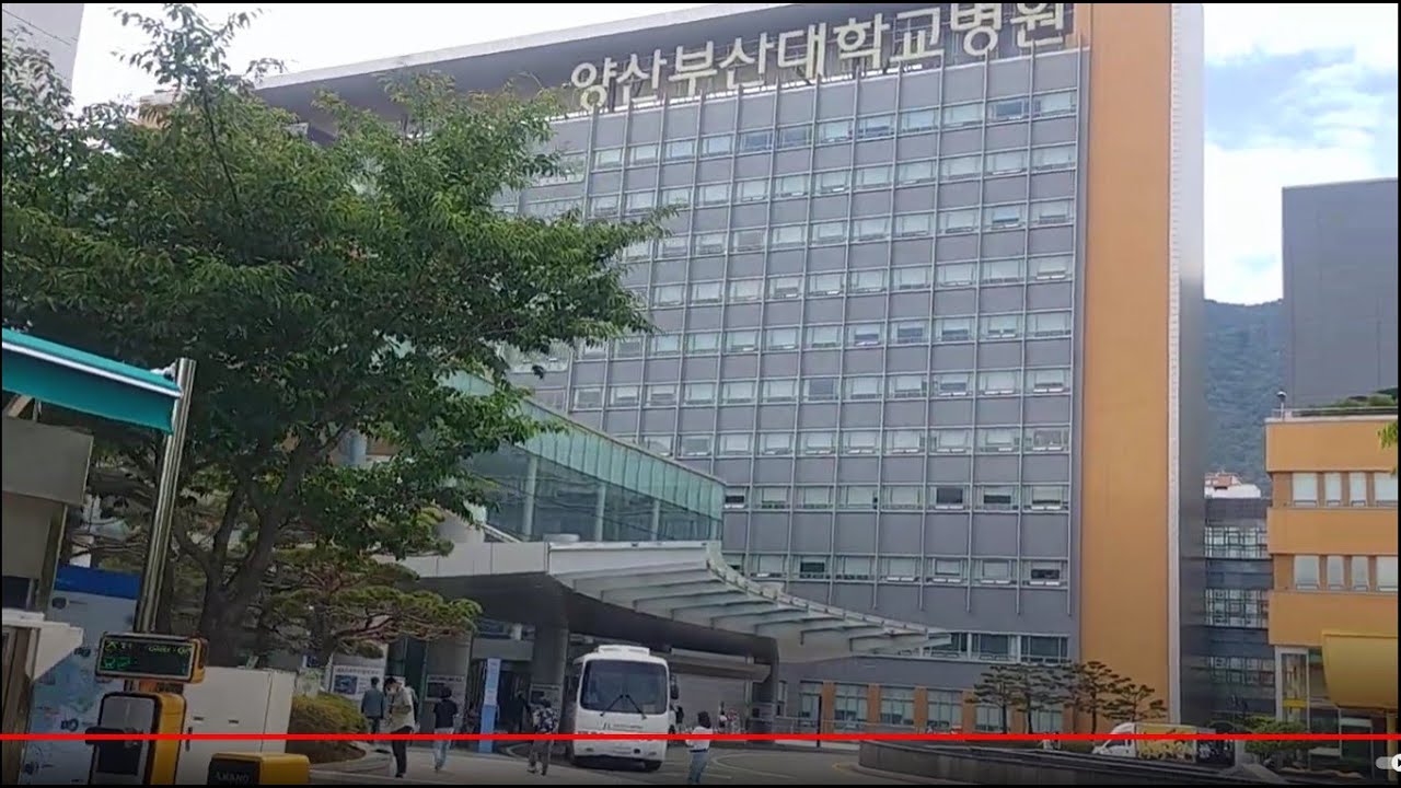 (캠퍼스 투어)부산대학교 병원 & 의대본과2 (Campus Tour) Busan University Hospital ...