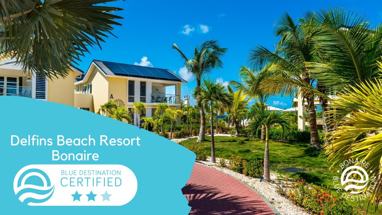 DELFINS BEACH RESORT BONAIRE is Blue Destination CERTIFIED ⭐⭐! - YouTube