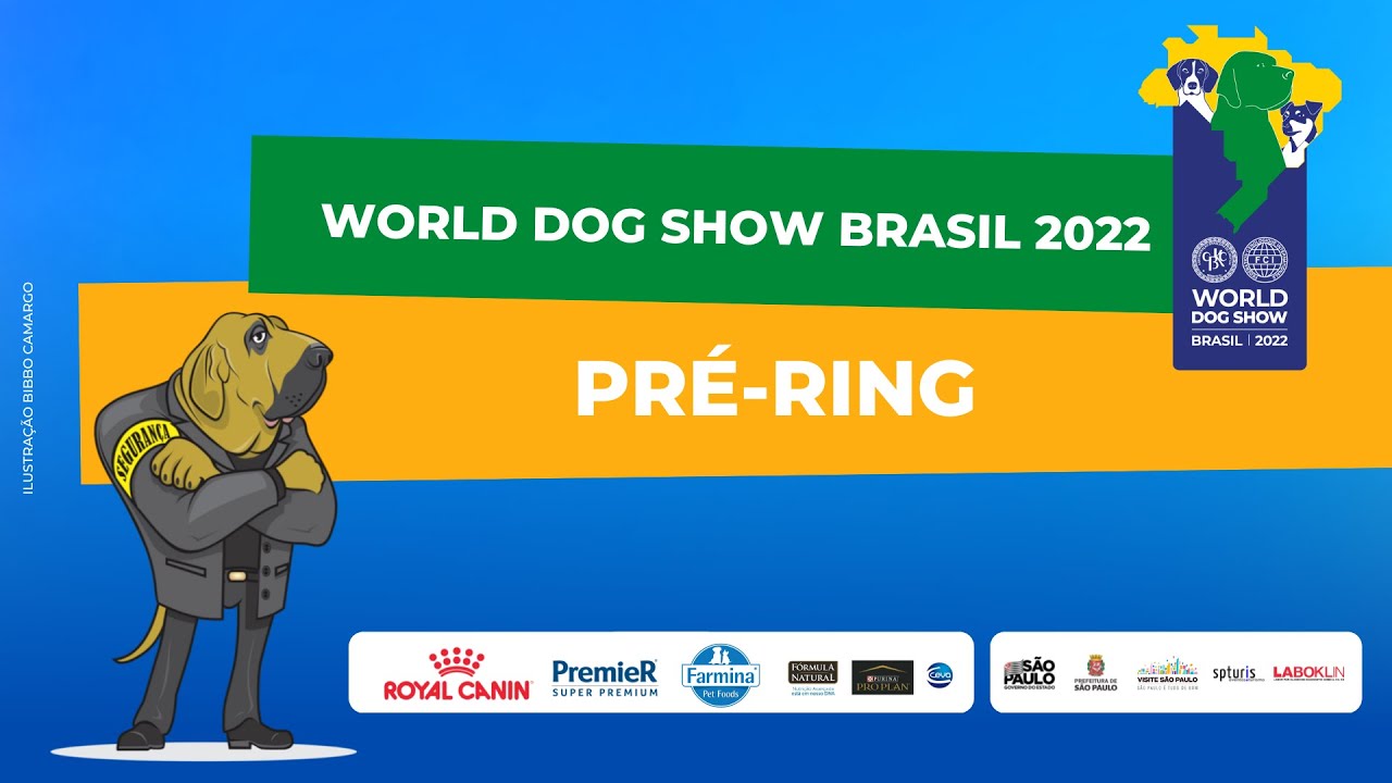 FAQ - PRÉ RINGUE - PRE RING - YouTube