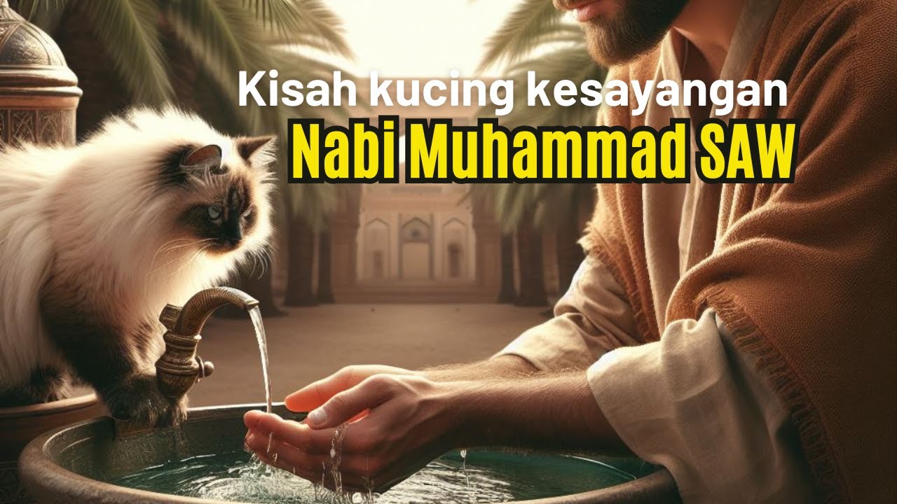 Kisah Nabi Muhammad dan Kucing Kesayangan, Muezza : Semilir Islam - YouTube