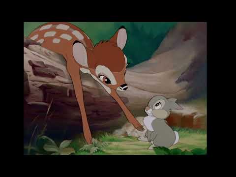 Bambi ontmoet Stampertje :)