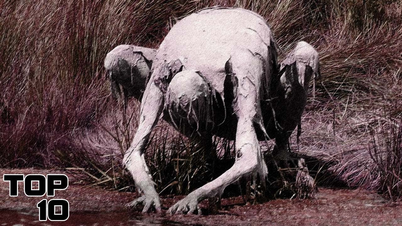 Top 10 Unsettling Photos Recovered From Horrible Disasters - YouTube