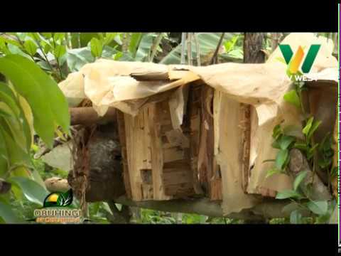 Obuhingi Noburiisa: Okuriisa Enjoki - YouTube