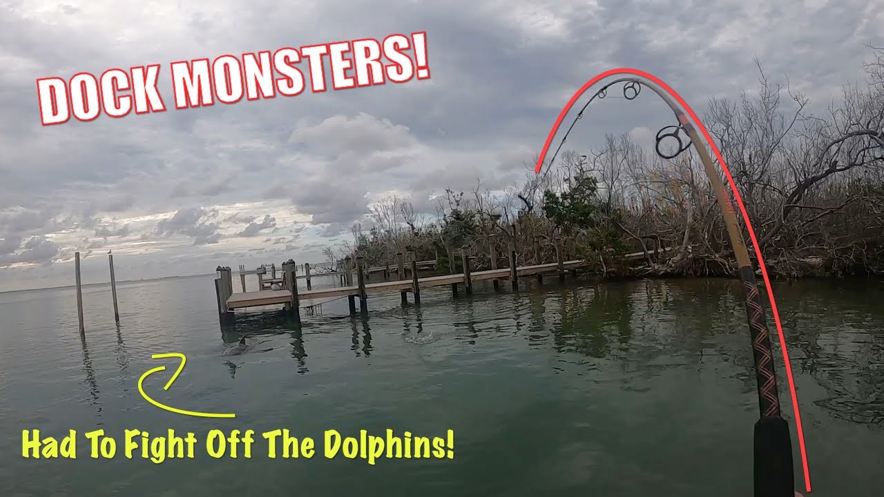 INSANE Dock Fishing: Catching Monster Fish At Redfish Pass! - YouTube