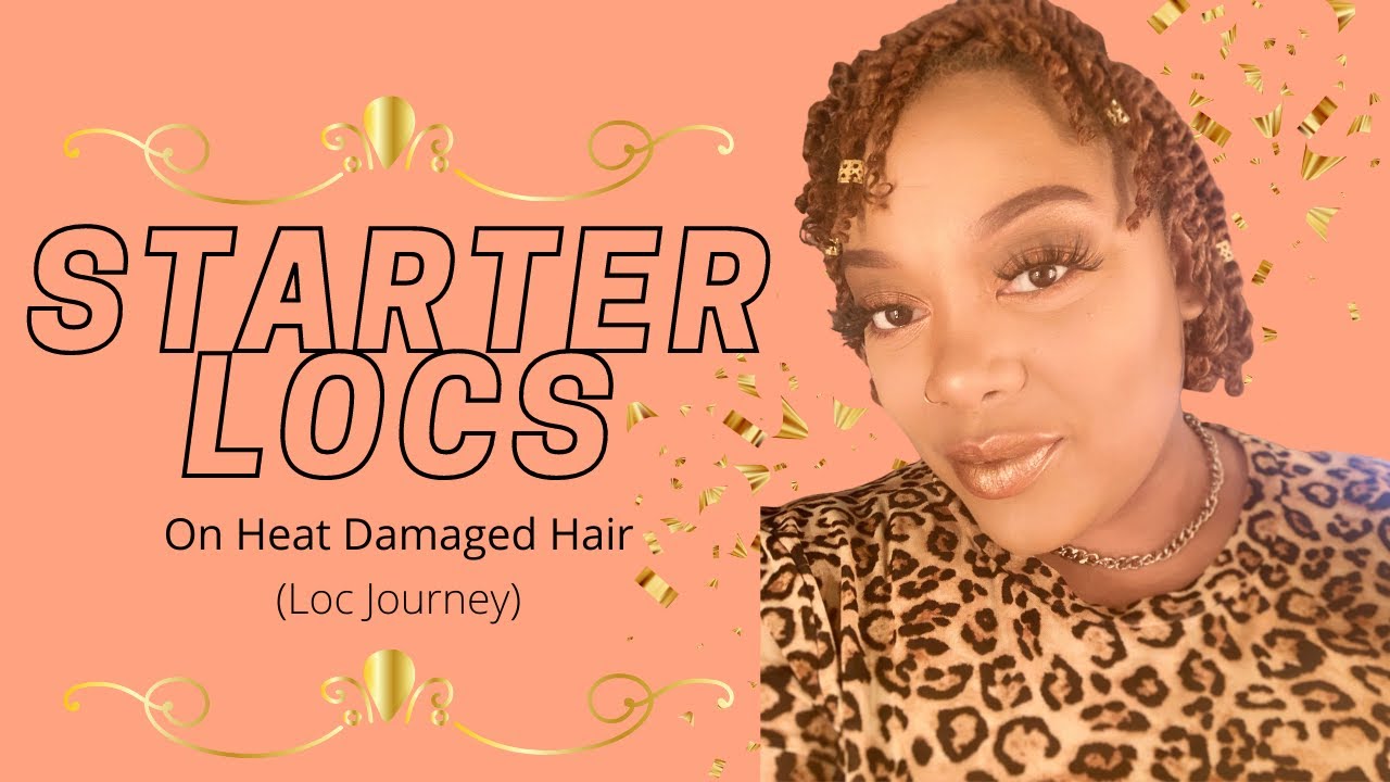 STARTER LOCS ON HEAT DAMAGED NATURAL HAIR| Two Strand Twists Method ...