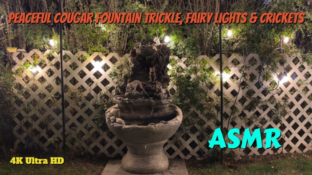 Peaceful Cougar Fountain Trickle, Fairy Lights & Crickets - YouTube