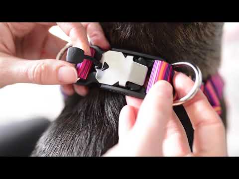 GoldPaw SwiftLock Harness