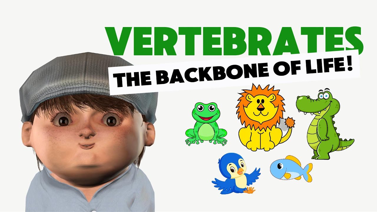 Vertebrates | The Backbone of Life! | Learn Videos for KIDS - YouTube