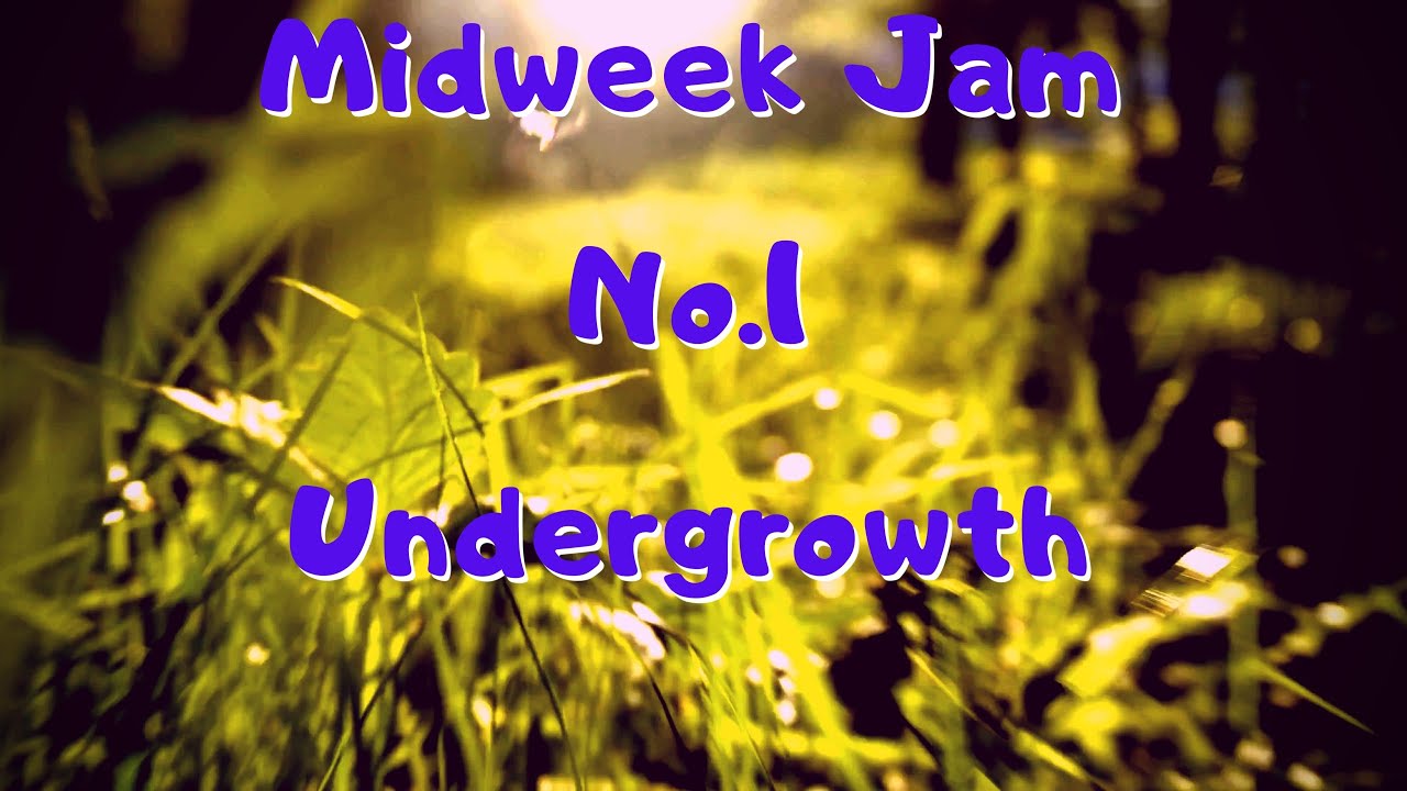 Midweek Jam No.1 - Undergrowth - A New Series! - YouTube