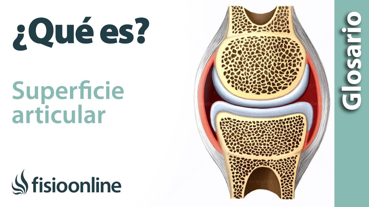 SUPERFICIE ARTICULAR | Qué es, dónde se encuentra, función y lesiones ...