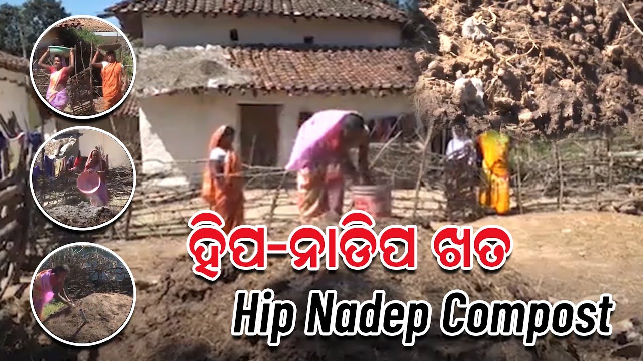 ହିପ-ନାଡିପ ଖତ / Hip Nadep Compost - YouTube