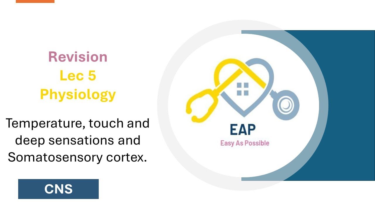 Revision - Lec 5 - Physio - Temperature, touch, deep sensation ...