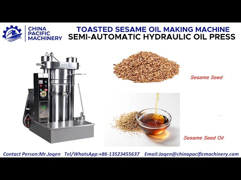 Sesame Oil Plant|Sesame Hydraulic Oil Extraction|Sesame Oil Expeller ...