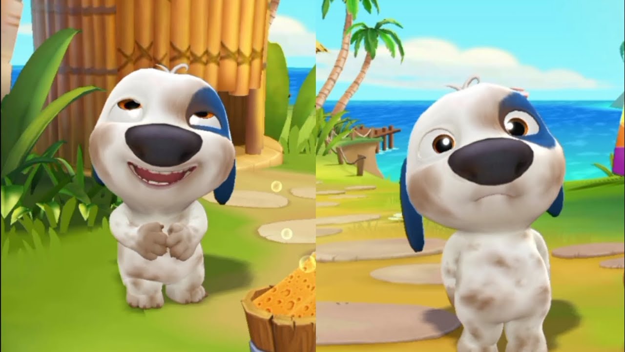 Talking Hank😹😹😸😸 - YouTube