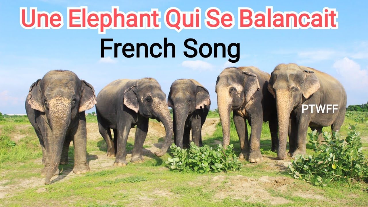 Une Elephant Qui Se Balancait ll French Song ll CBSE French Song - YouTube