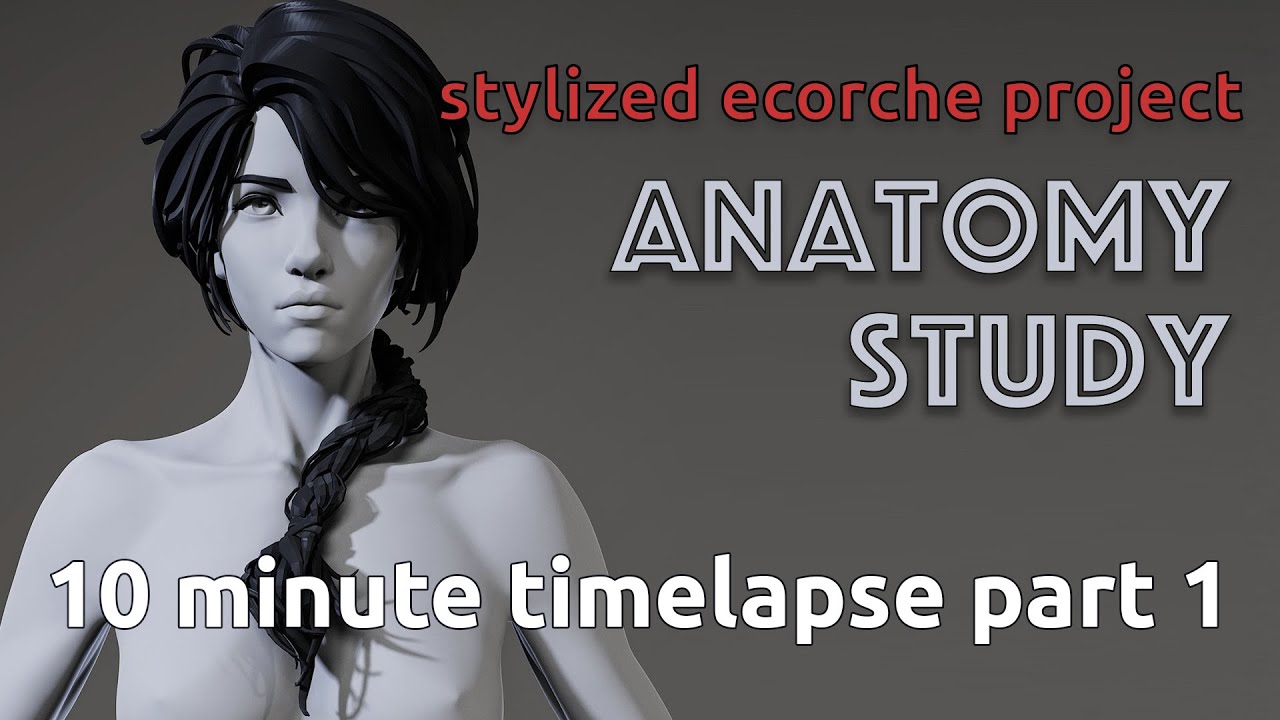 Female ecorche project timelapse (1/3) long cut - YouTube