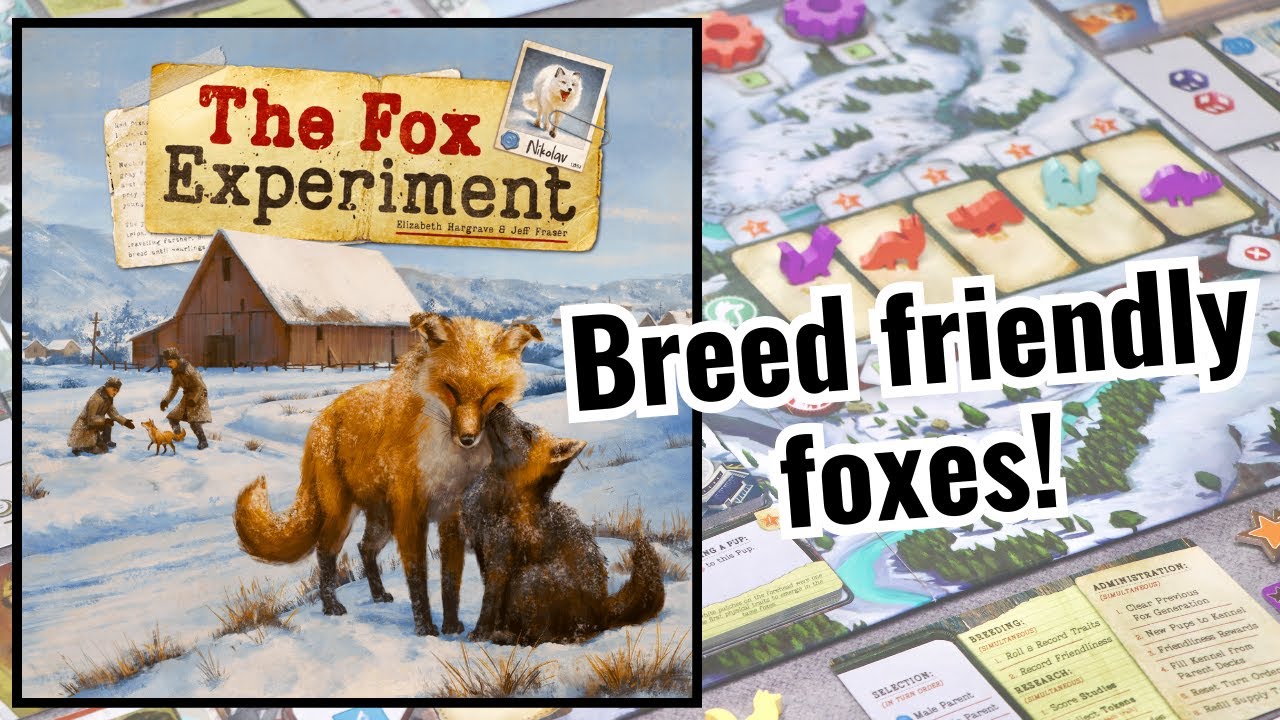 How to play the board game Fox experiment. - YouTube
