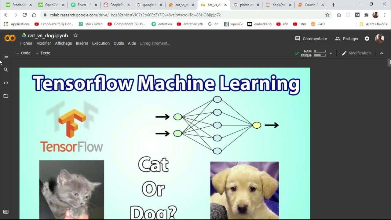 Classification d'image(vision par ordinateur) chien vs chat avec ...