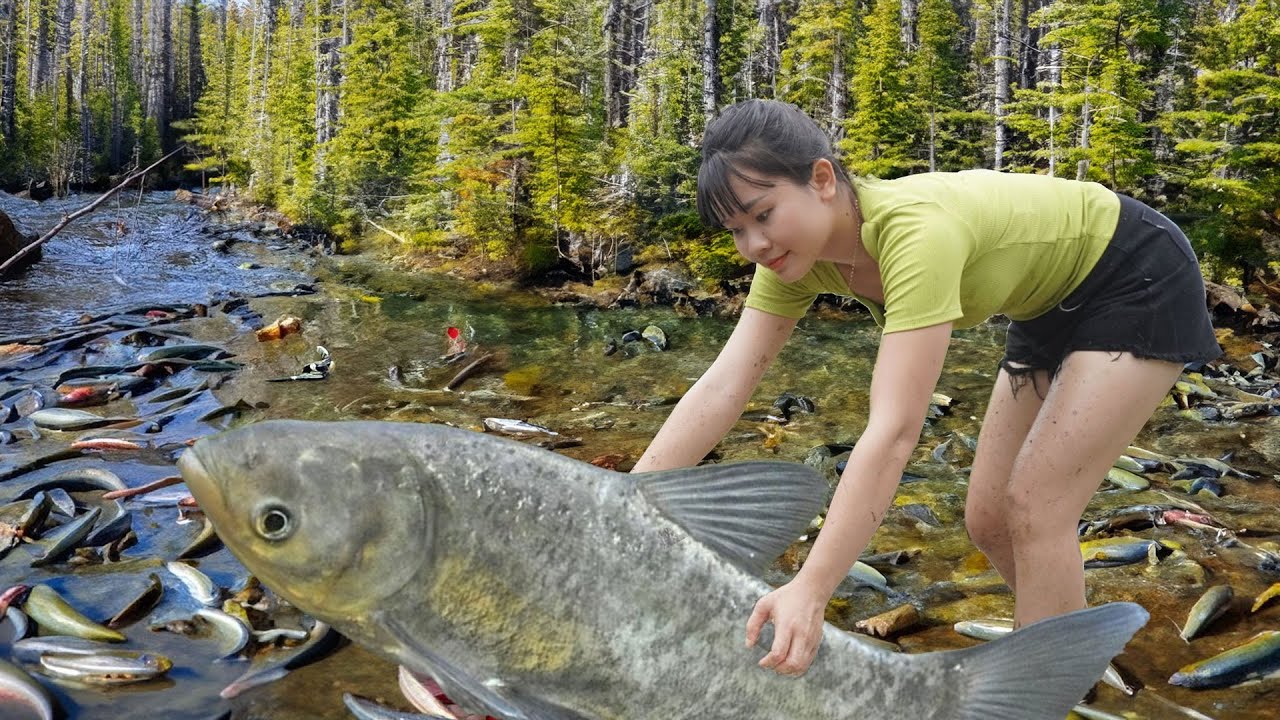TOP Big Fish | I Caught The Biggest Fish in the Forest Pond - Survival ...