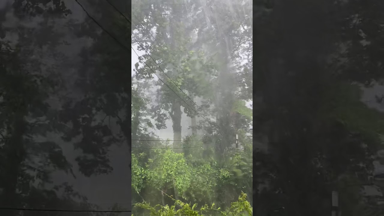 Washington's rain yesterday is a rainstorm 27/6/2020 - YouTube