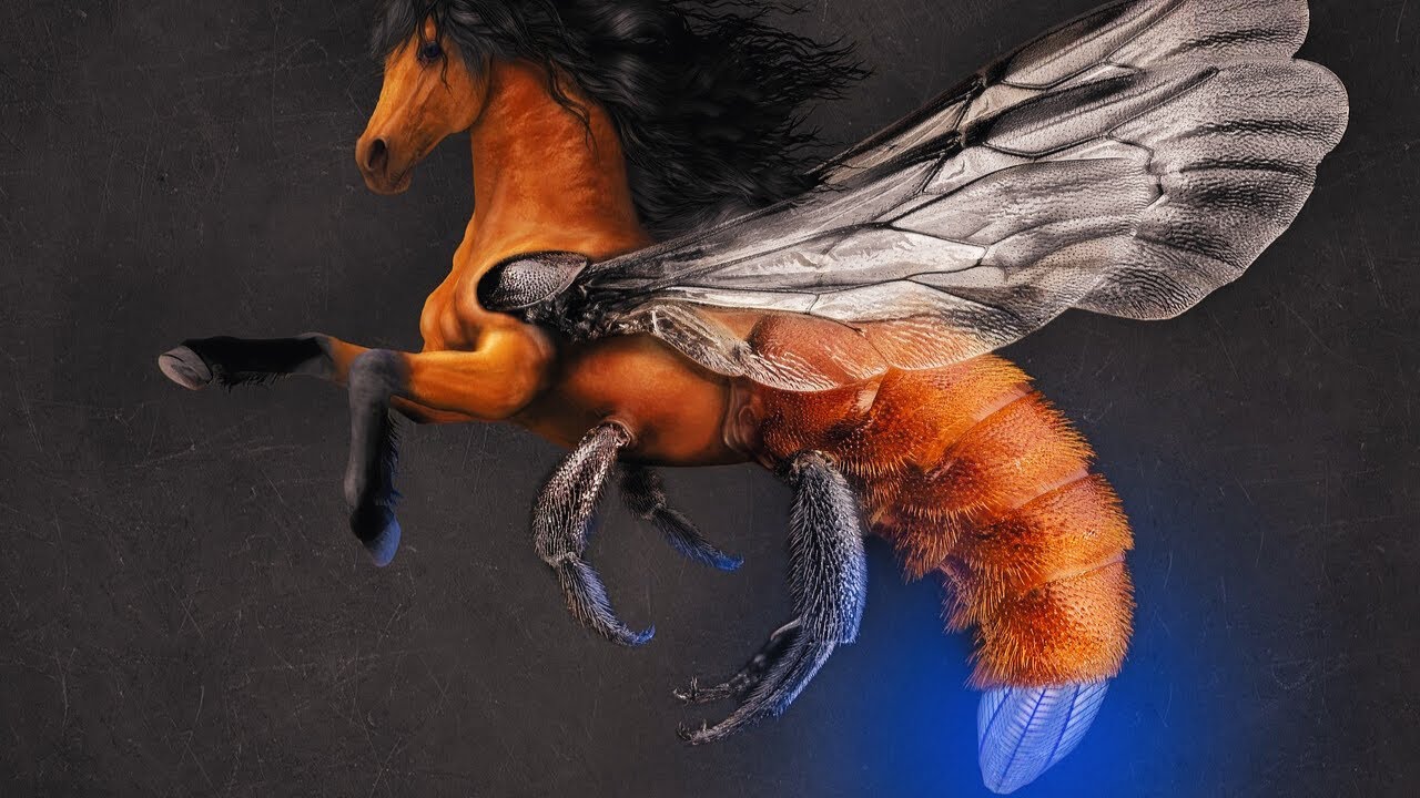 Unveiling the Enchanting Facts About Fireflies: Nature's Magical Light ...