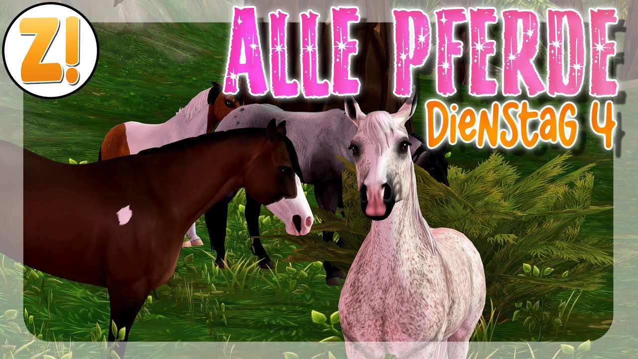 ALLE 4 PFERDE DIENSTAG - WOCHE 4 🐴 WESTERN CAMP 2023 GUIDE | Star ...