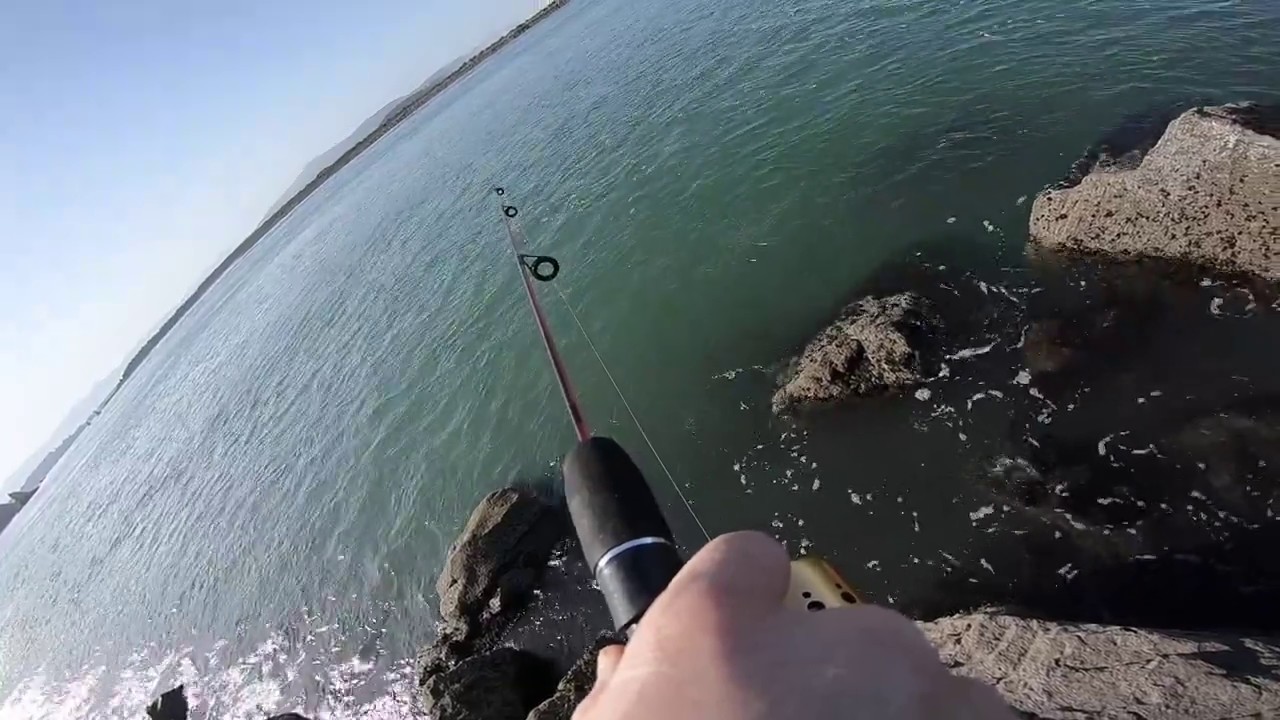 How to catch big redtail surf perch Oregon surf fishing - YouTube