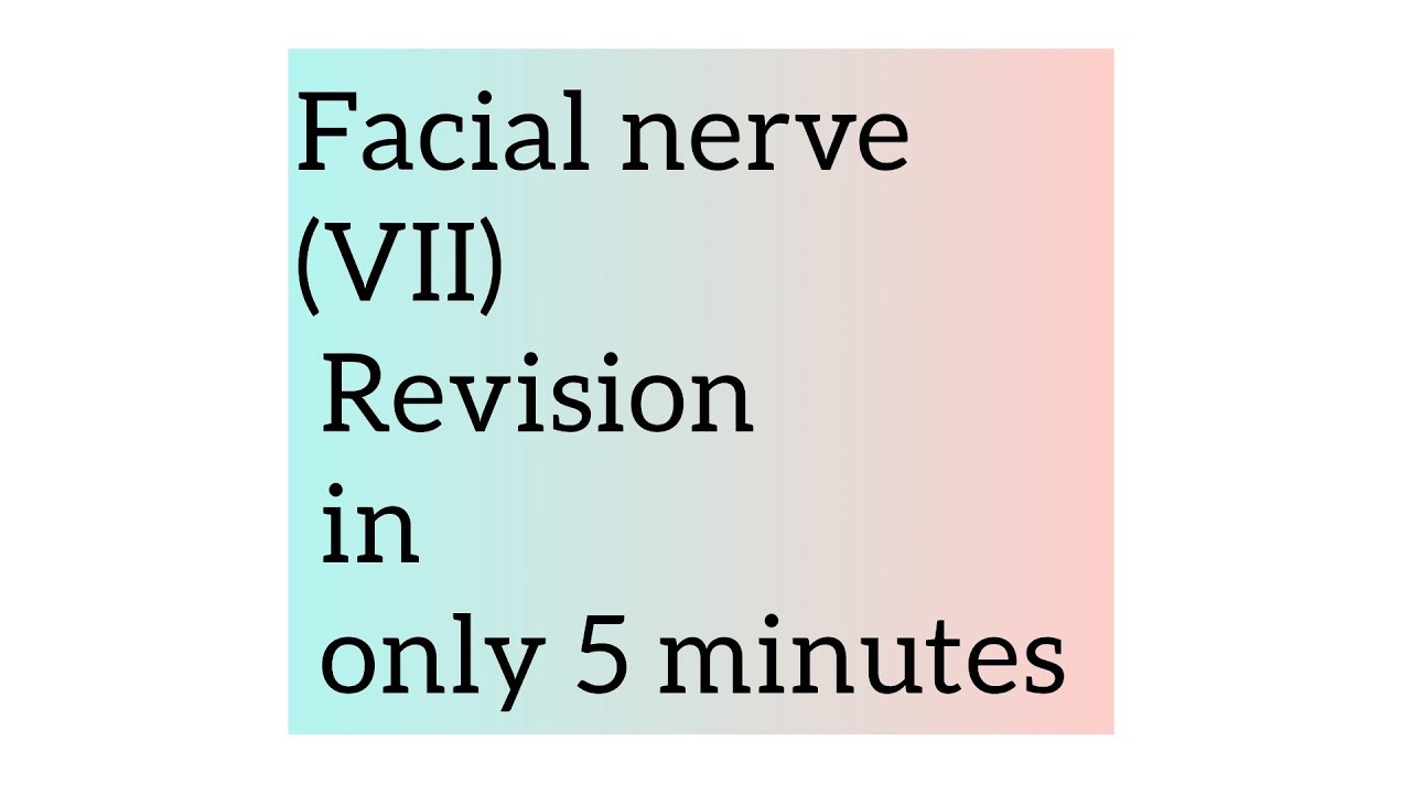 FACIAL NERVE (VII) NEUROANATOMY QUICK REVISION ONLY IN 5 MINUTES ...