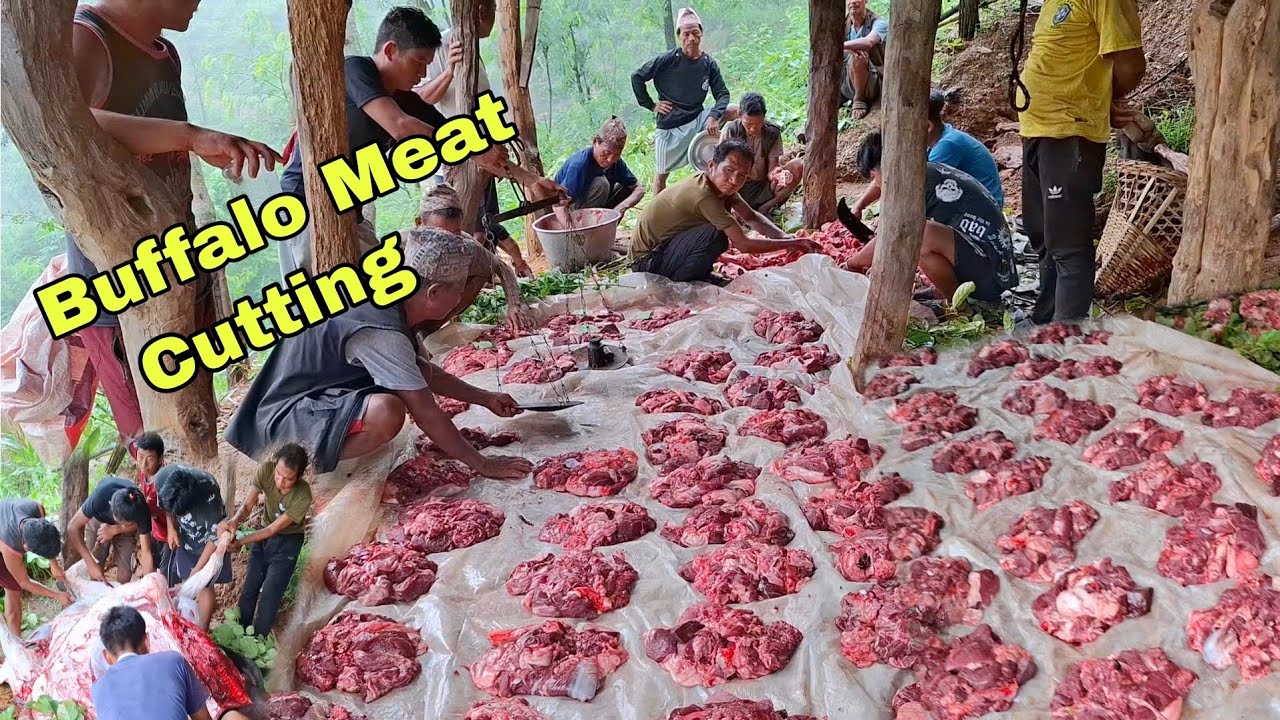 Buffalo Meat Cutting Style In Nepal || Bhaisi/Raga Ko Masu |Buff Meat ...