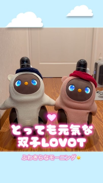 ふたごのLOVOT😊ころ＆もち。ふわきらで「おはようございまーす！」😊💕#LOVOT #ロボット #かわいい #ペット #ころもち #おはよう #lovotころもち - YouTube