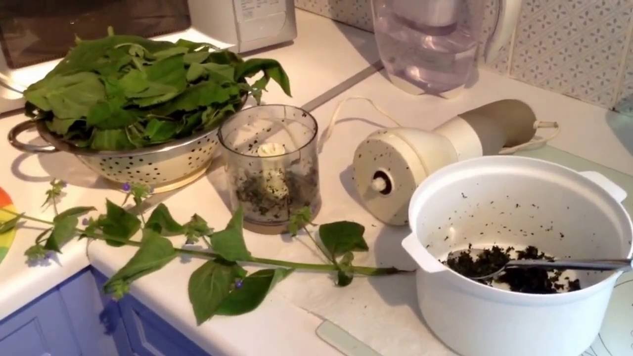 Easy Homemade diy comfrey ointment for topical use, arthritis, aches ...