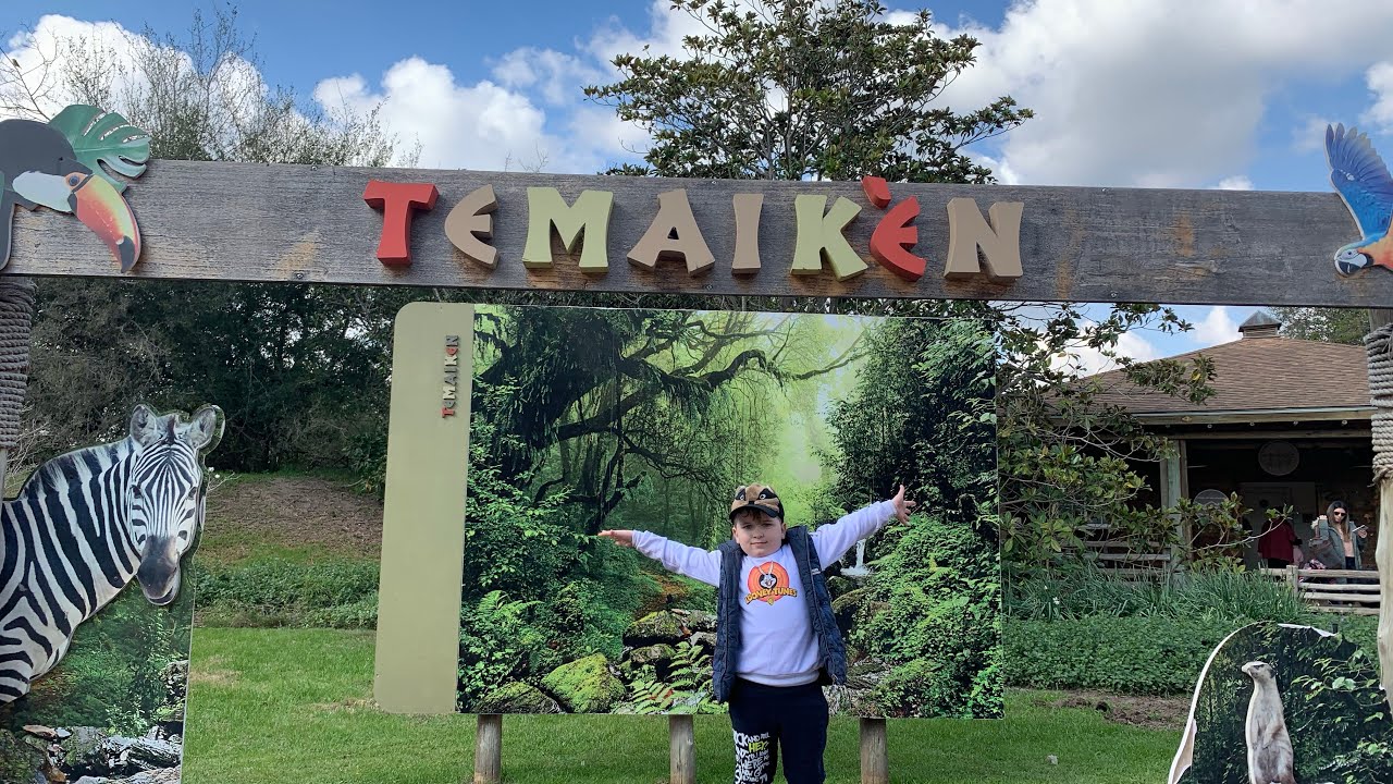 🦓🦈🐆Visita a Temaikén🦥🦜🦇 - YouTube