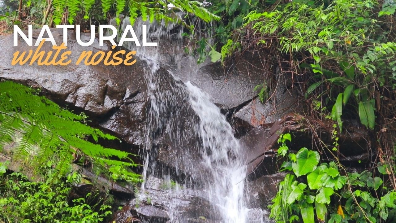 Nature's White Noise: Waterfall Sounds for Sleep and Study - Relaxing ...