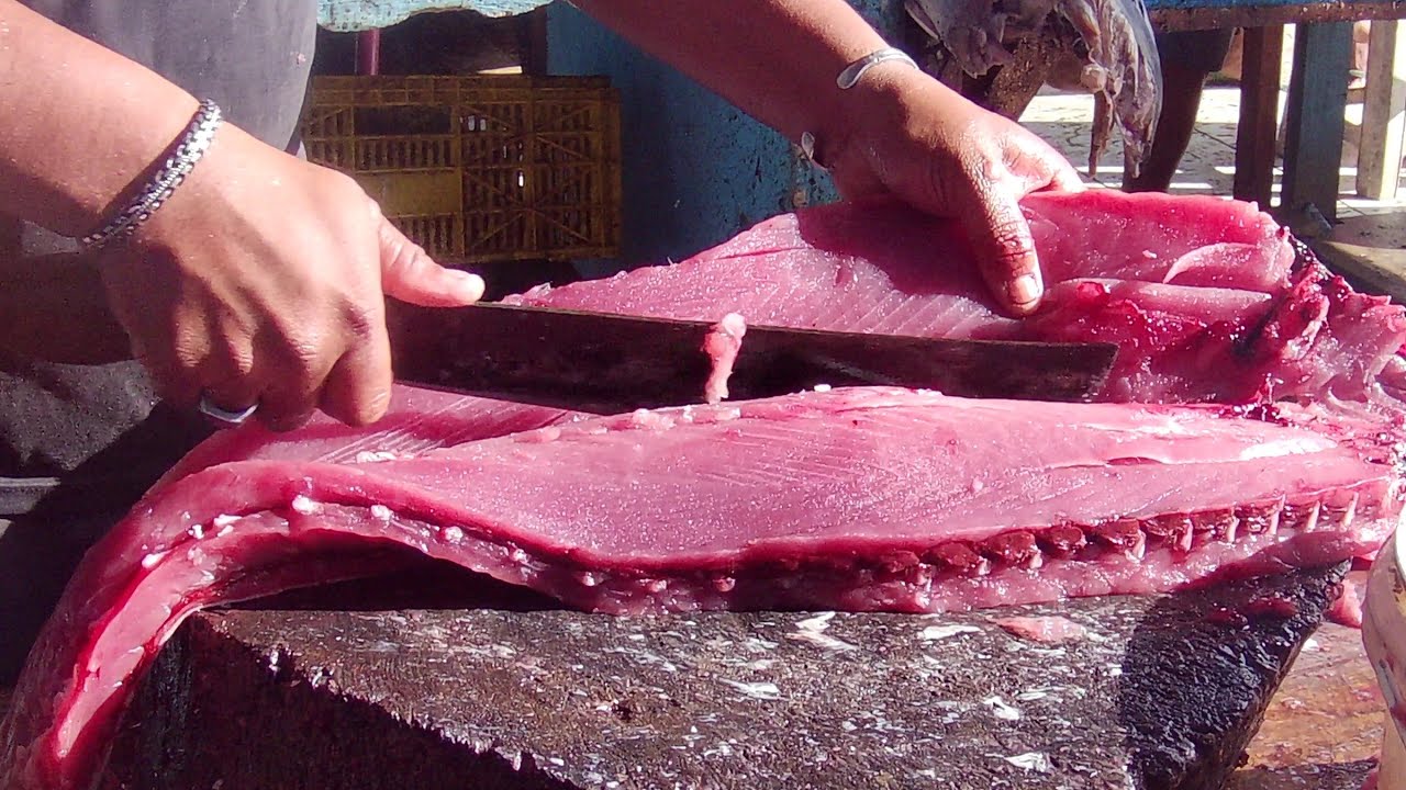 Daging Tuna Segar - Keterampilan Memotong Ikan Tuna Sirip Kuning #MP-53 ...