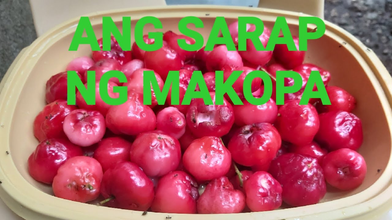 LOCAL FRUIT TAMBIS/PROVINCE LIFE - YouTube