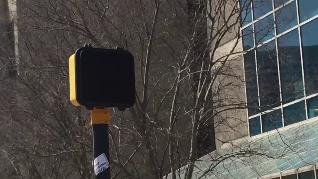 ICC Pedestrian Signal - YouTube